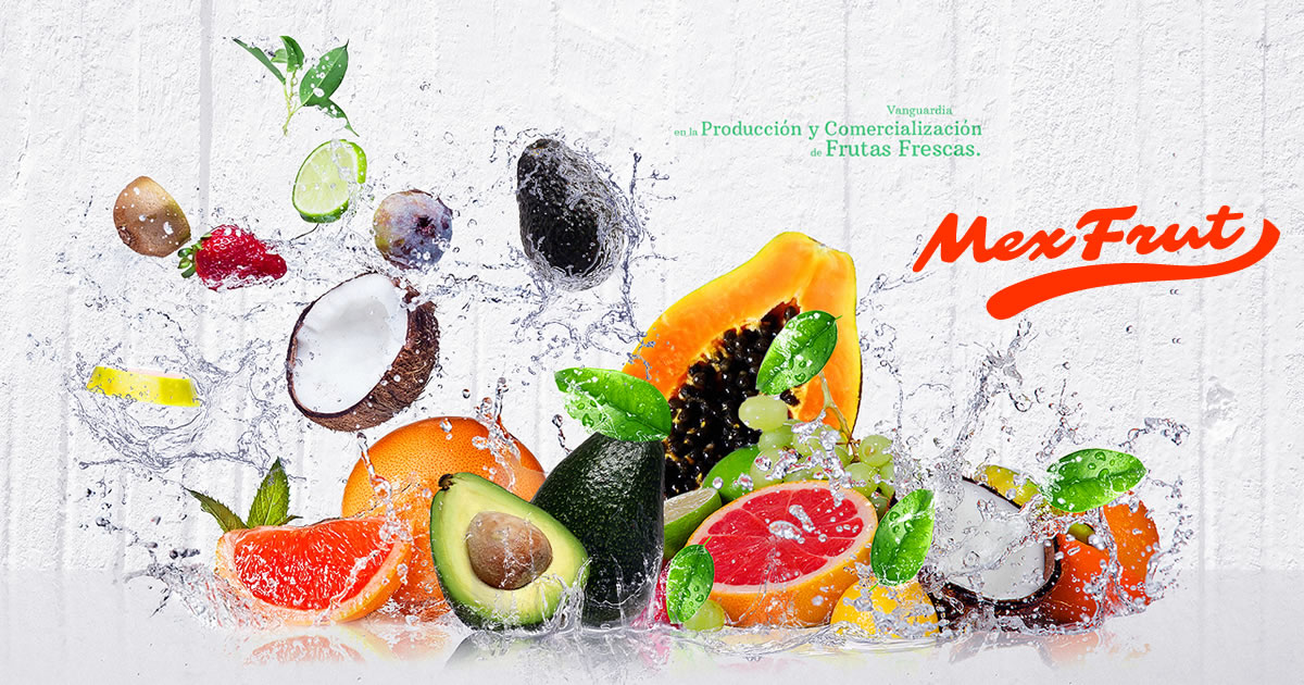 Venta y Exportación de Limón Persa Fresco | Mexfrut